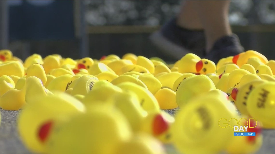3rd annual Rubber Duck Drop to raise funds for inclusive school ...