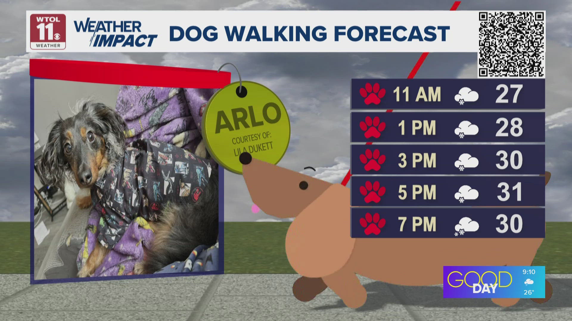 Man dies after crashing off road in Seneca County | wtol.com