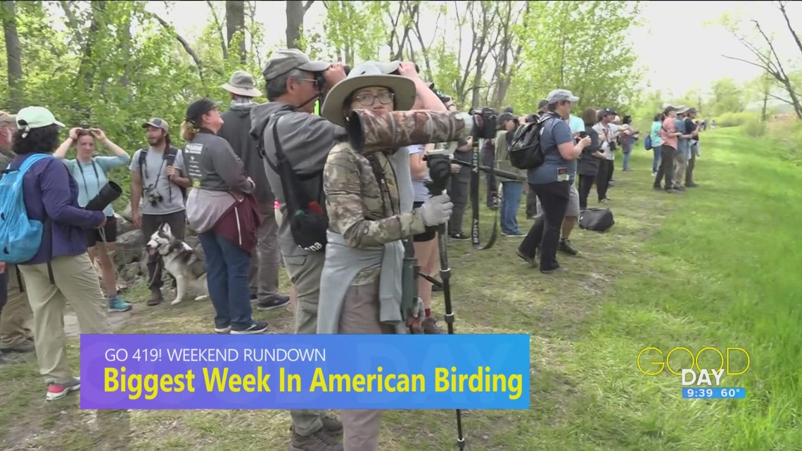 The birds are out and about - you should be, too! | Go 419 Weekend ...