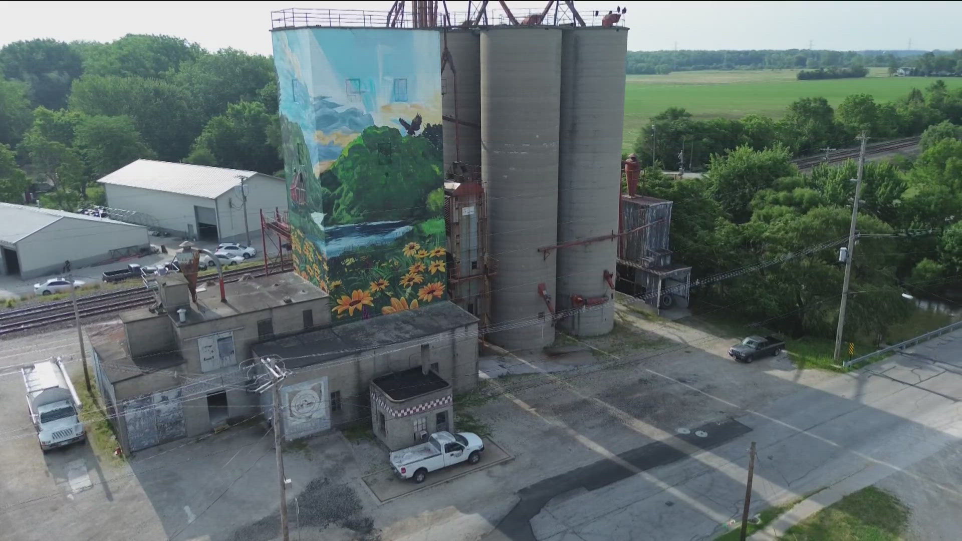 Pemberville woman's vision comes to life with mural on silo | wtol.com