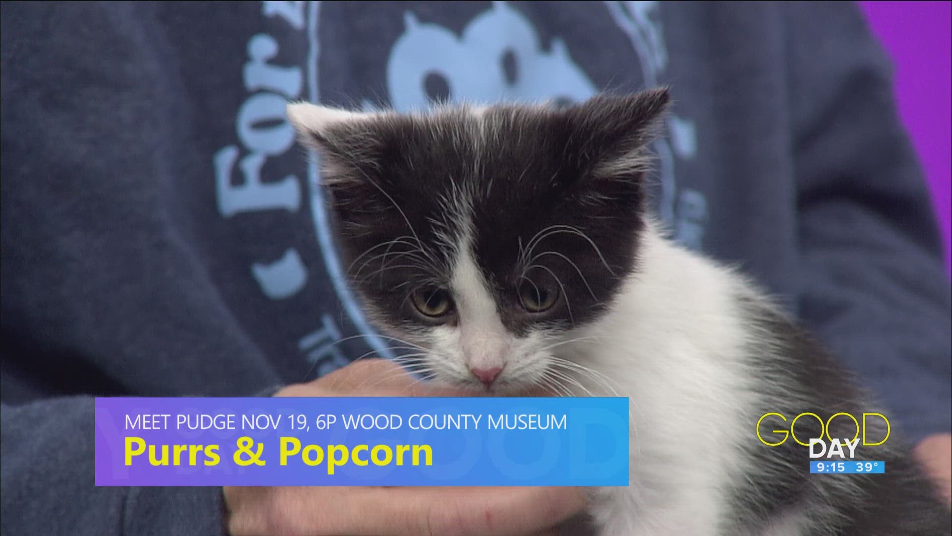 Meet celebrity guest Pudge, other cute kitties and a movie to benefit ...