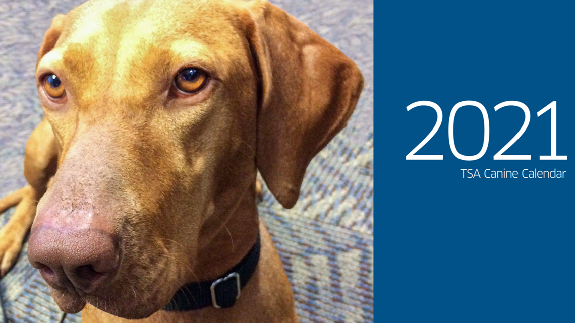 How can I get TSA's 2021 dog calendar? | wtol.com