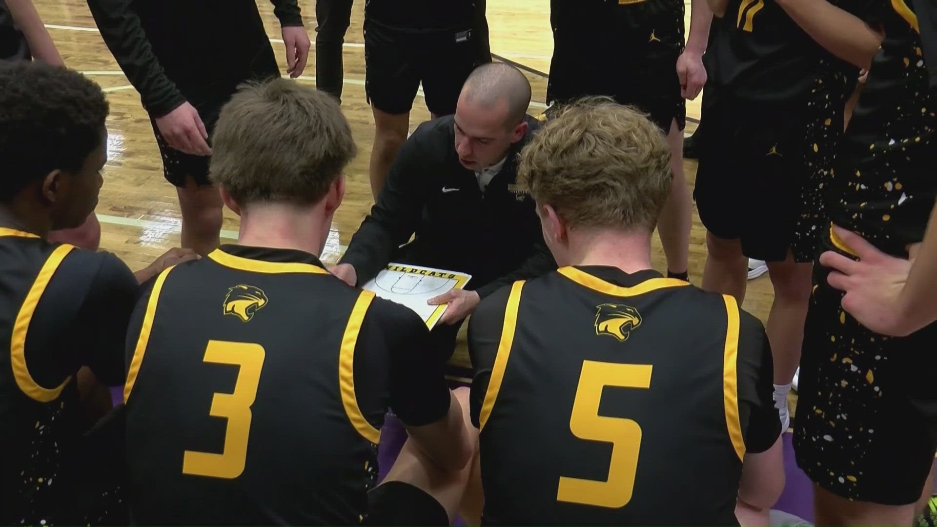 Invasive moth threatens boxwoods in northwest Ohio | wtol.com