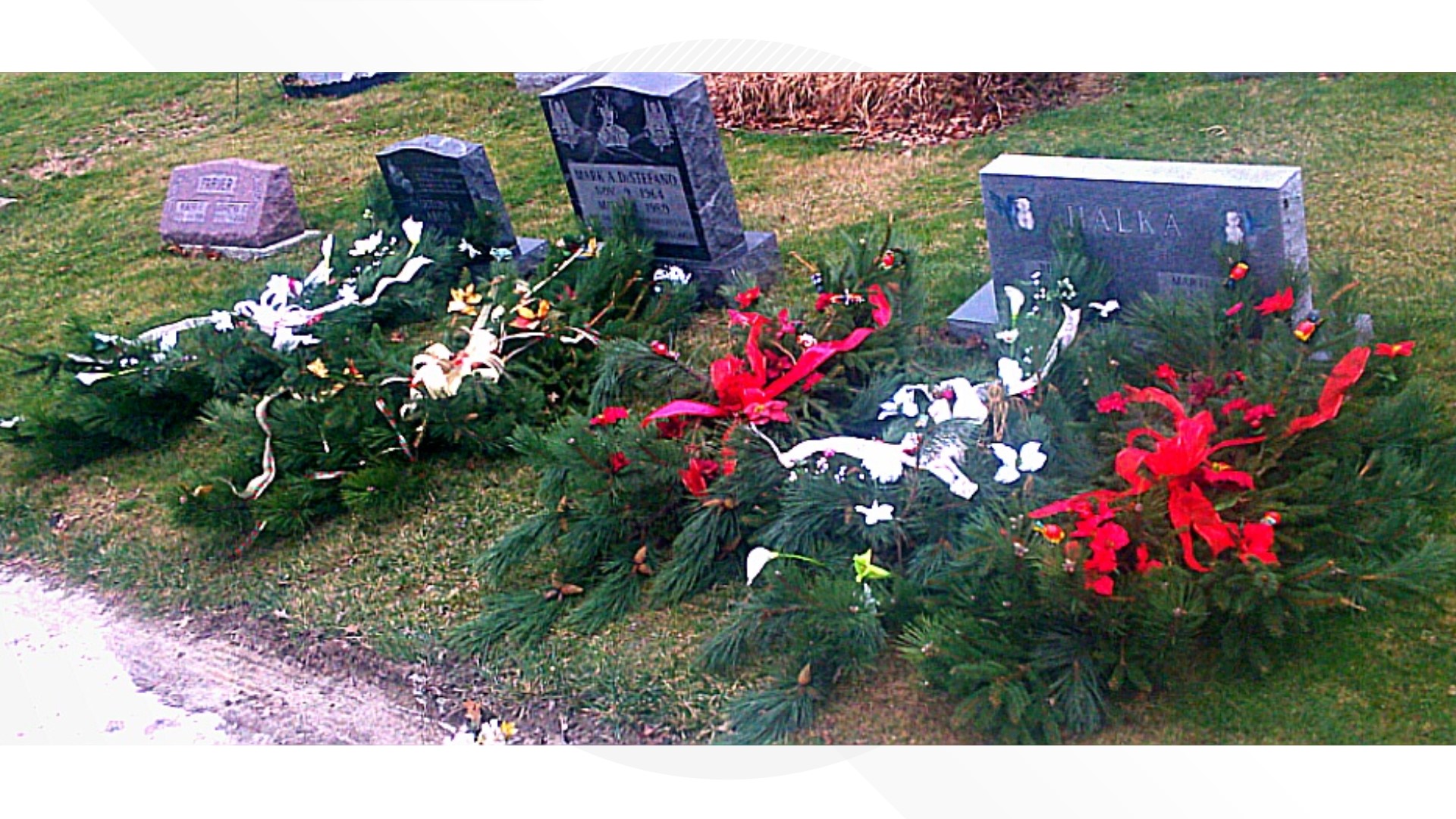 40 years later, cold case's similarity to serial killing is eyed | wtol.com