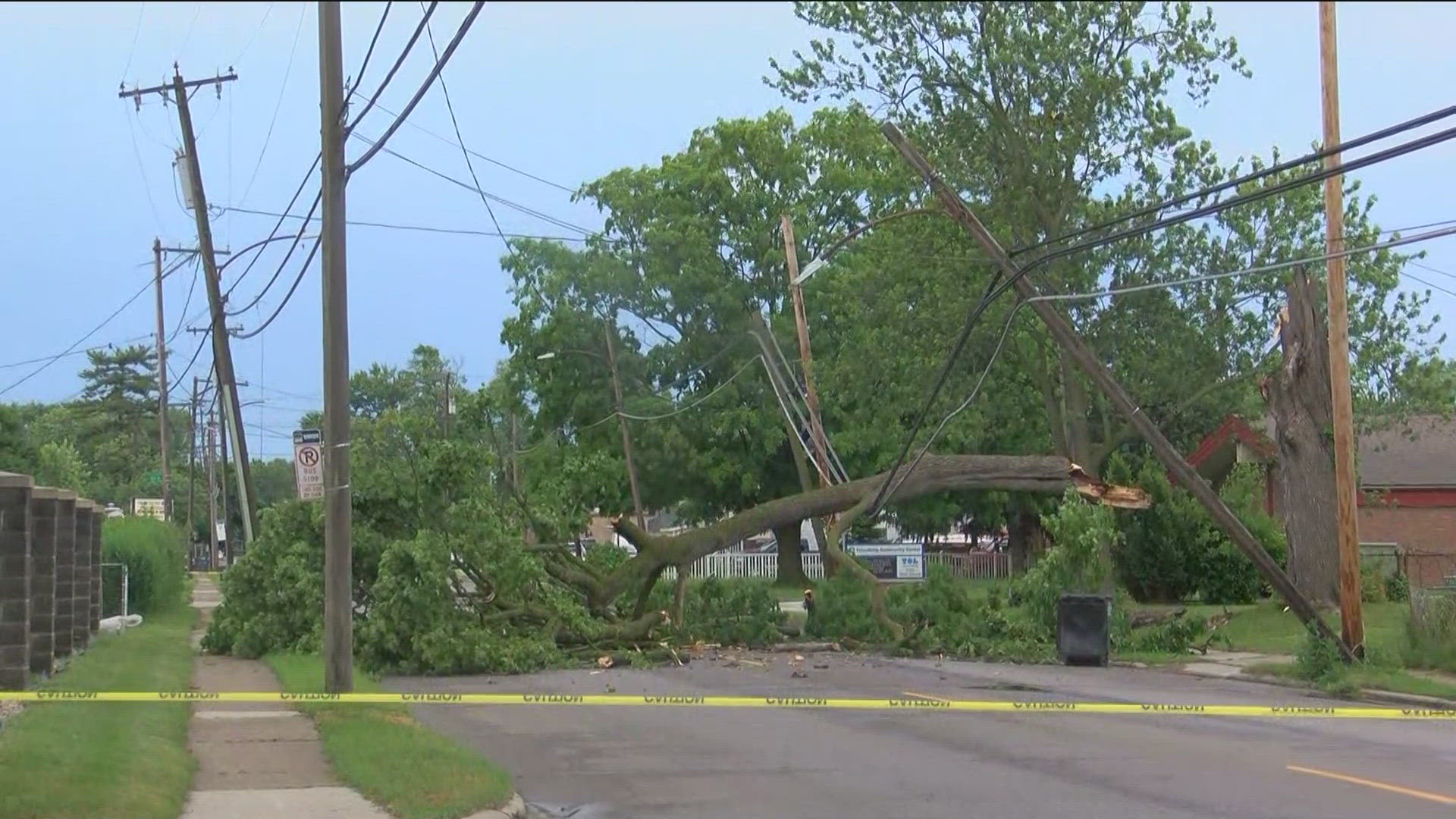 Tree falls on power lines in Point Place Wednesday afternoon | wtol.com