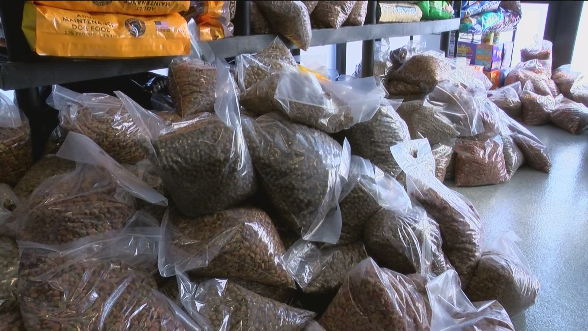 Lucas County Canine Care and Control reopens pet food pantry as ...
