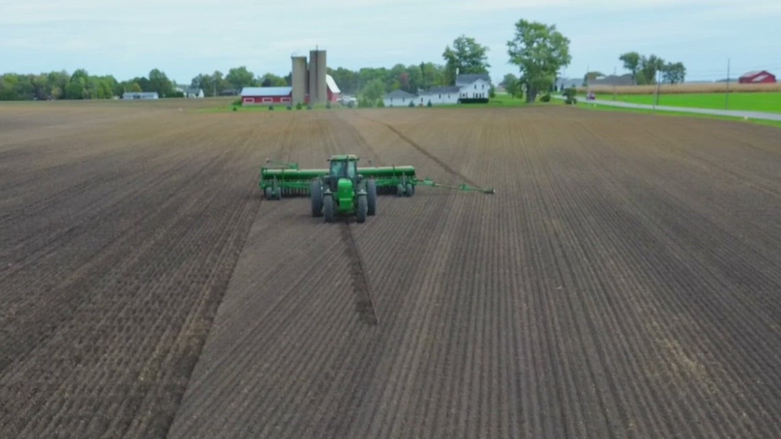 Some area farmers planting crops for winter | wtol.com