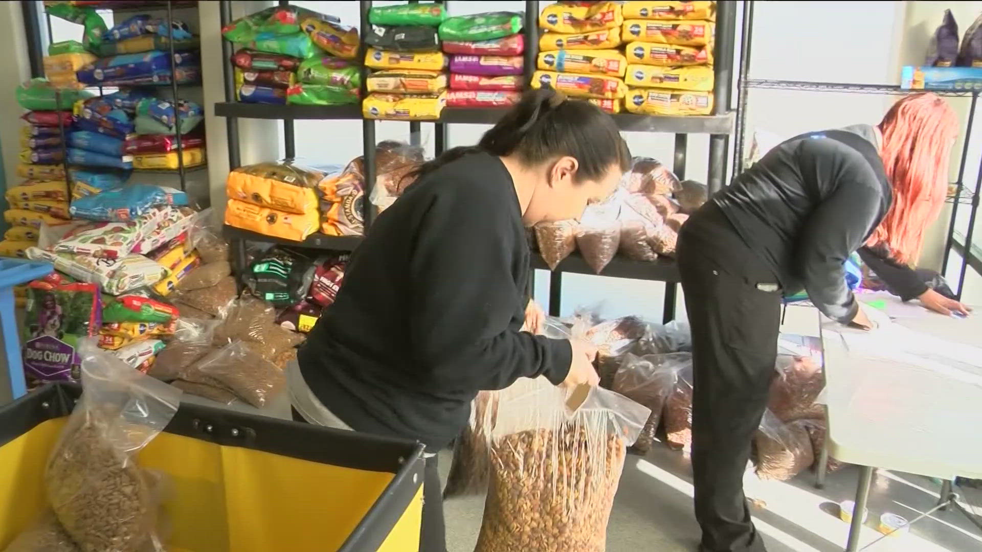 LC4 offers pet food pantry for pet owners in need | wtol.com