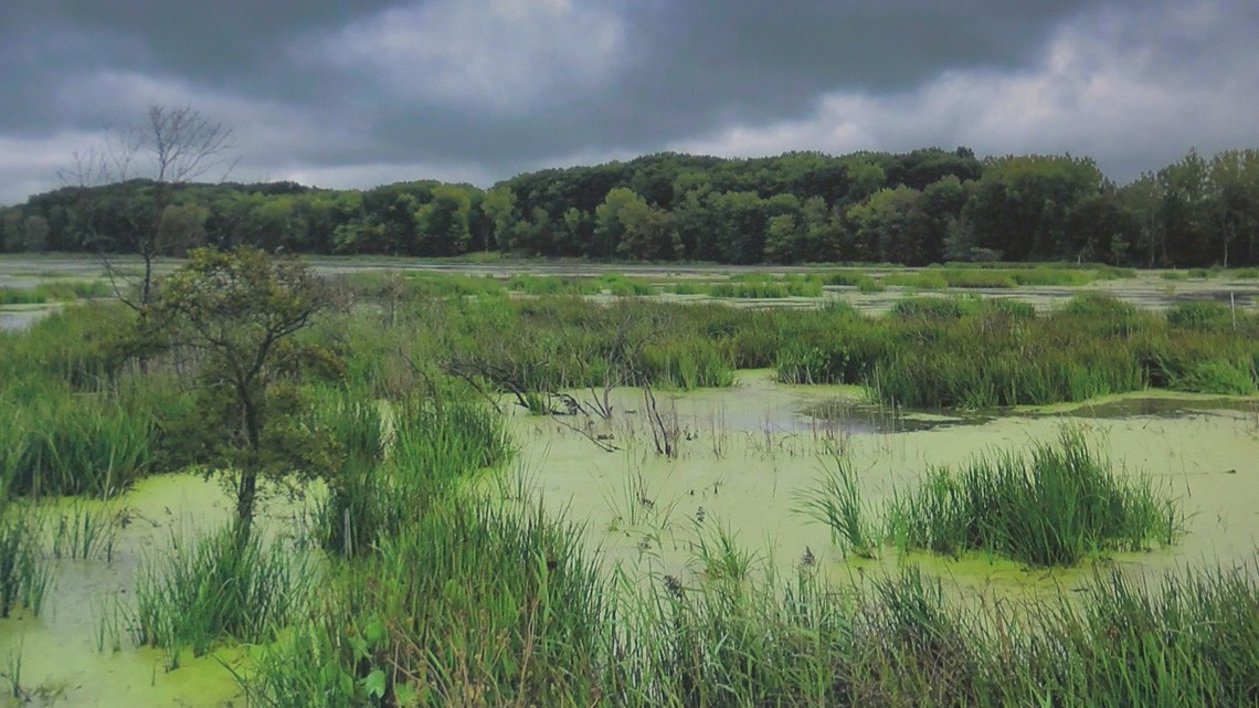 Keeping Lake Erie clean | wtol.com