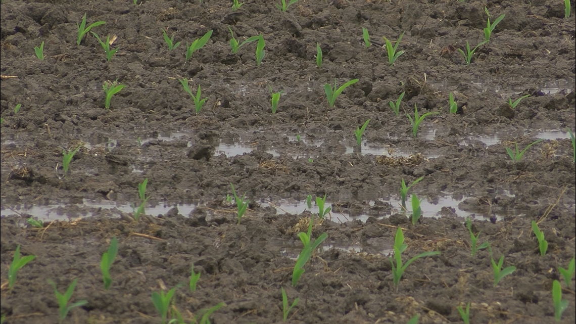 Wet fields continue to put a damper on planting season for farmers ...