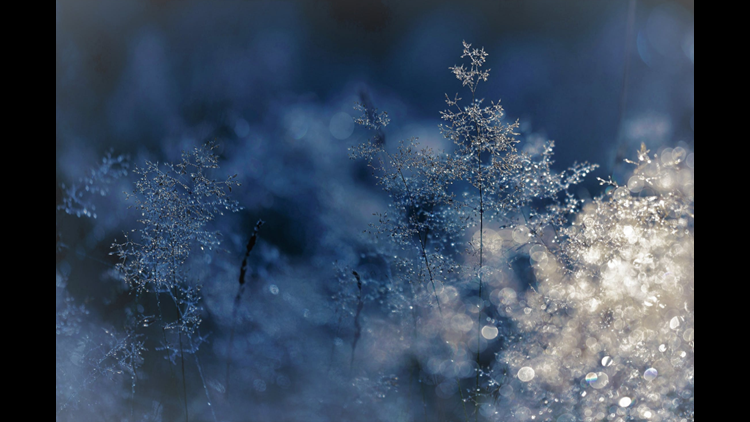 What is a frost quake, and did you hear one last night? | wtol.com