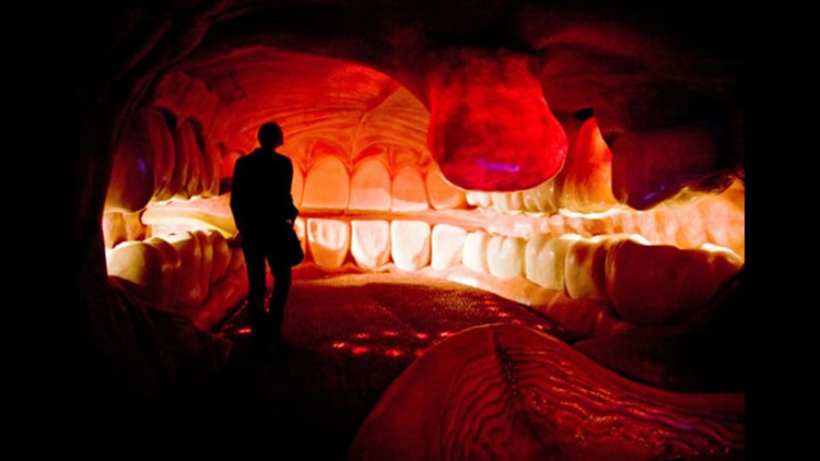 Photo Essay: Netherlands museum journeys through human body | wtol.com