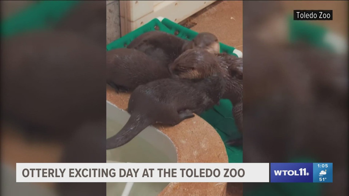 Toledo Zoo 125th Anniversary | Toledo, Ohio | wtol.com