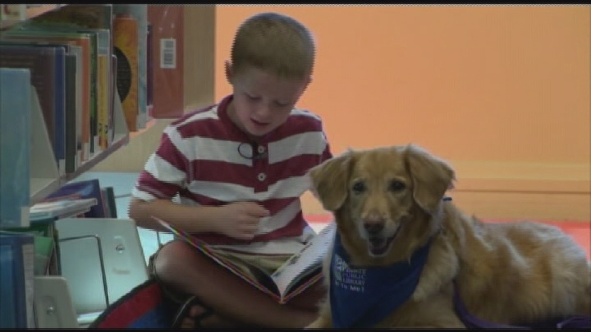 Toledo library expands Sit, Stay, Read therapy dog program | wtol.com
