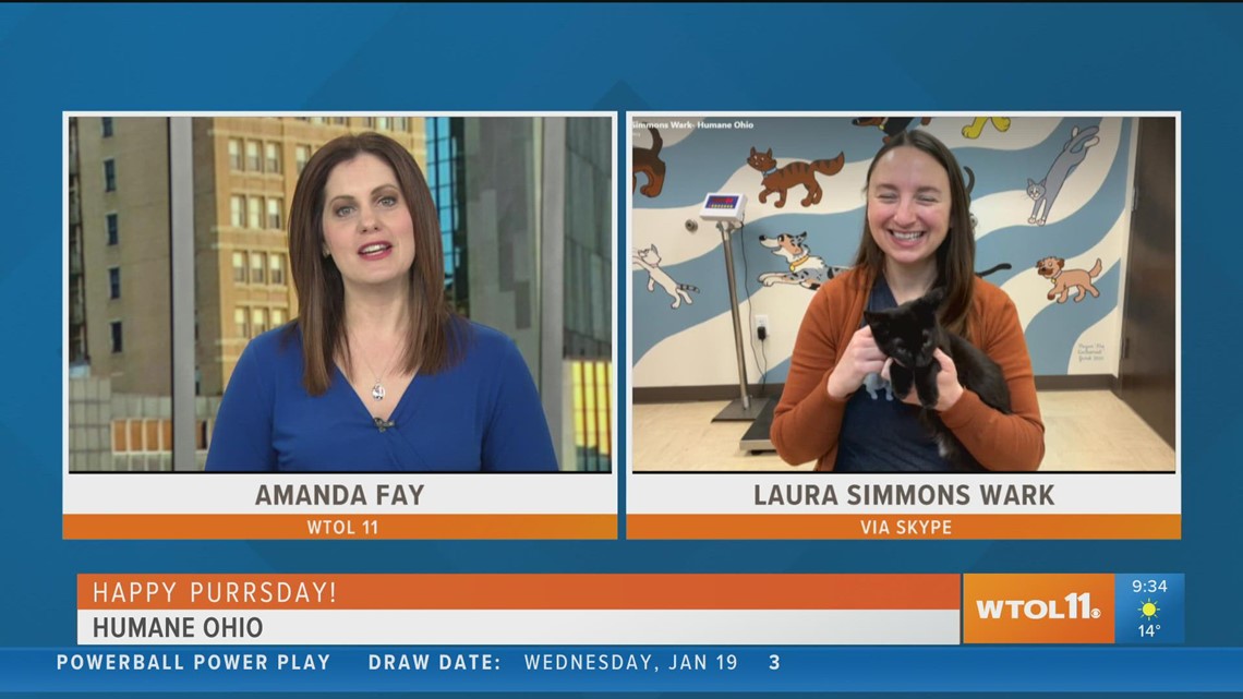 Adopt a pet from Humane Ohio | Your Day | wtol.com