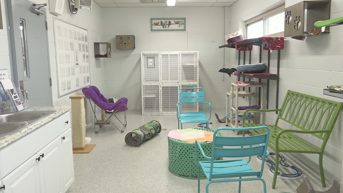 Wood County Humane Society | wtol.com