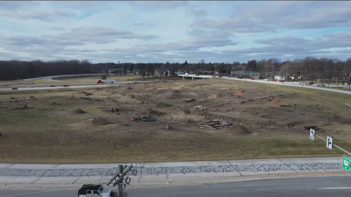 Trees wiped out as Ohio revamps Monroe Street overpass in Sylvania ...