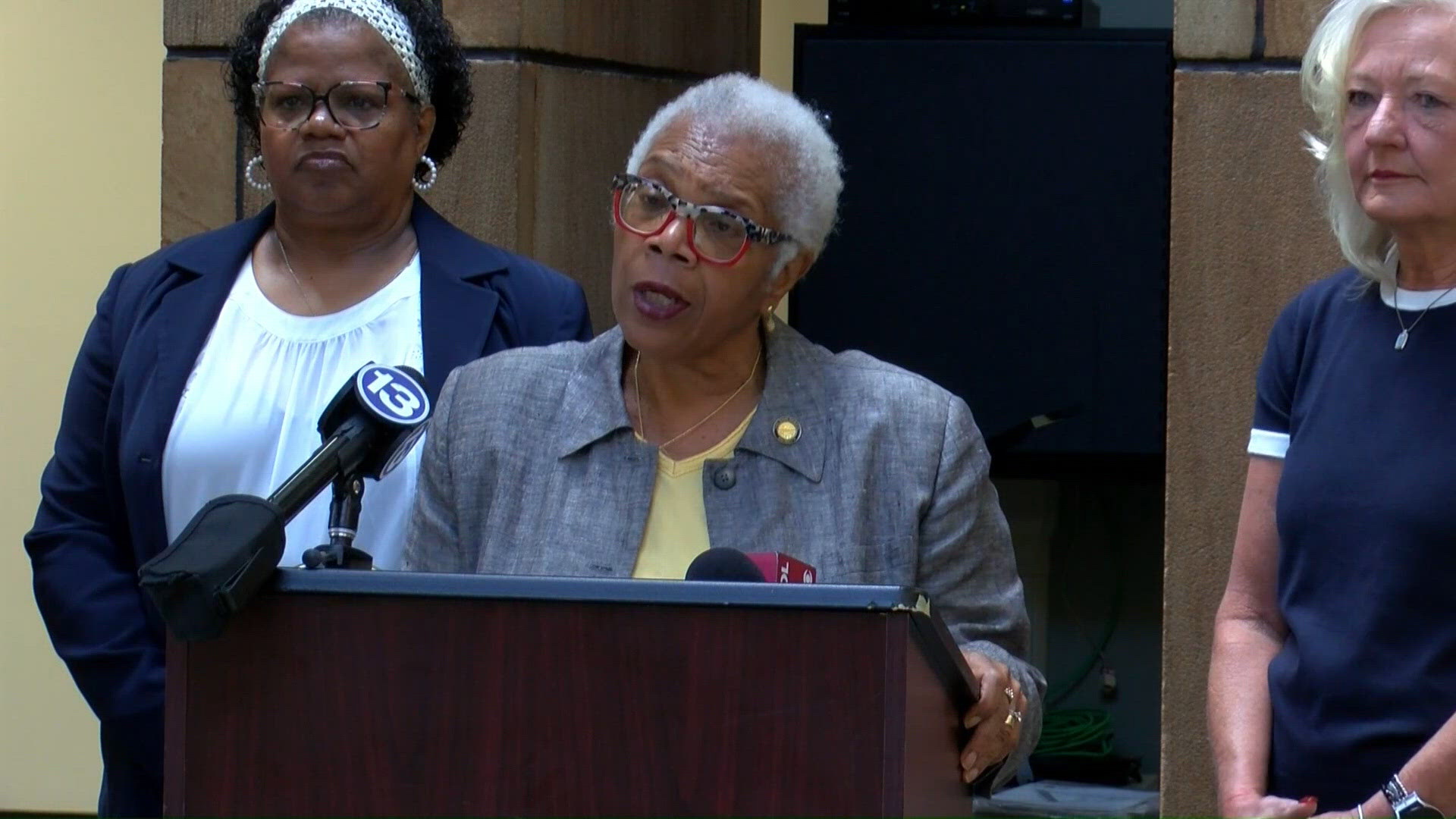 Democrats say proposed constitutional amendments could limit access to ...