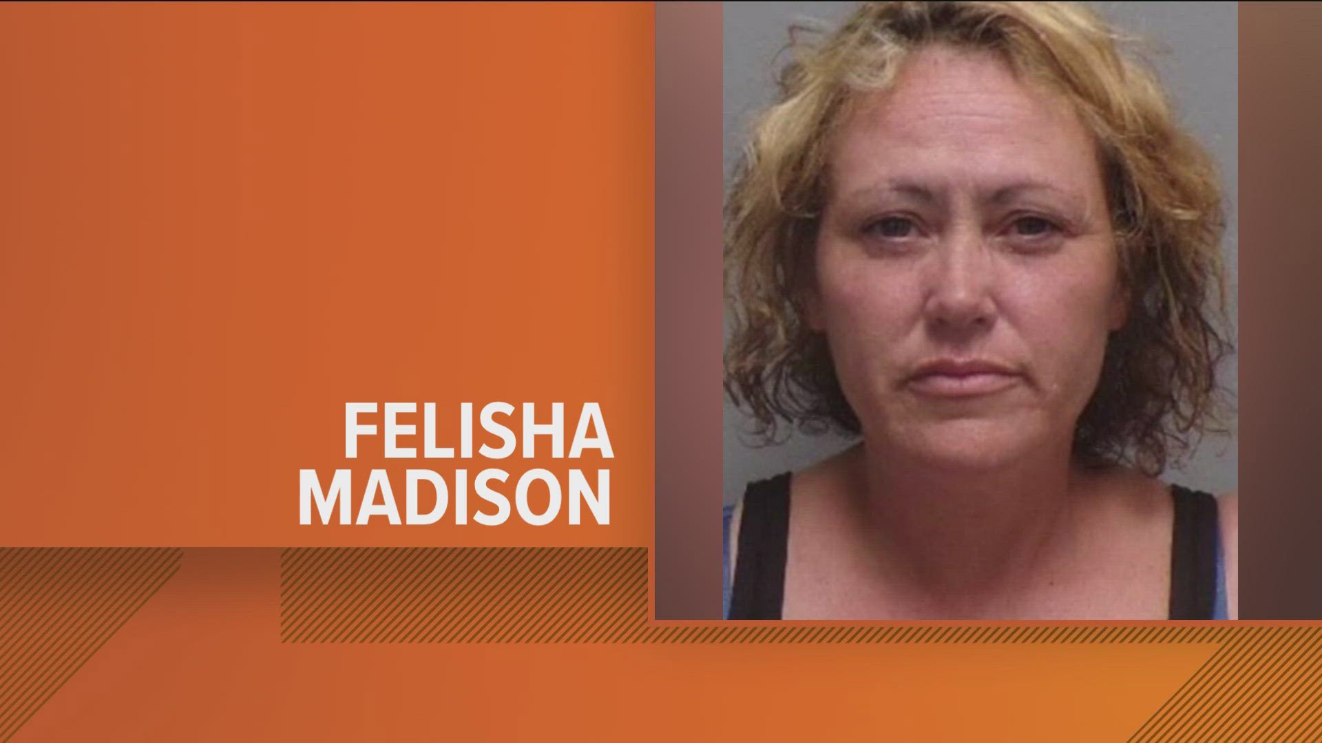 Driver accused in Adrian hit-and-run that injured teen arrested a year ...