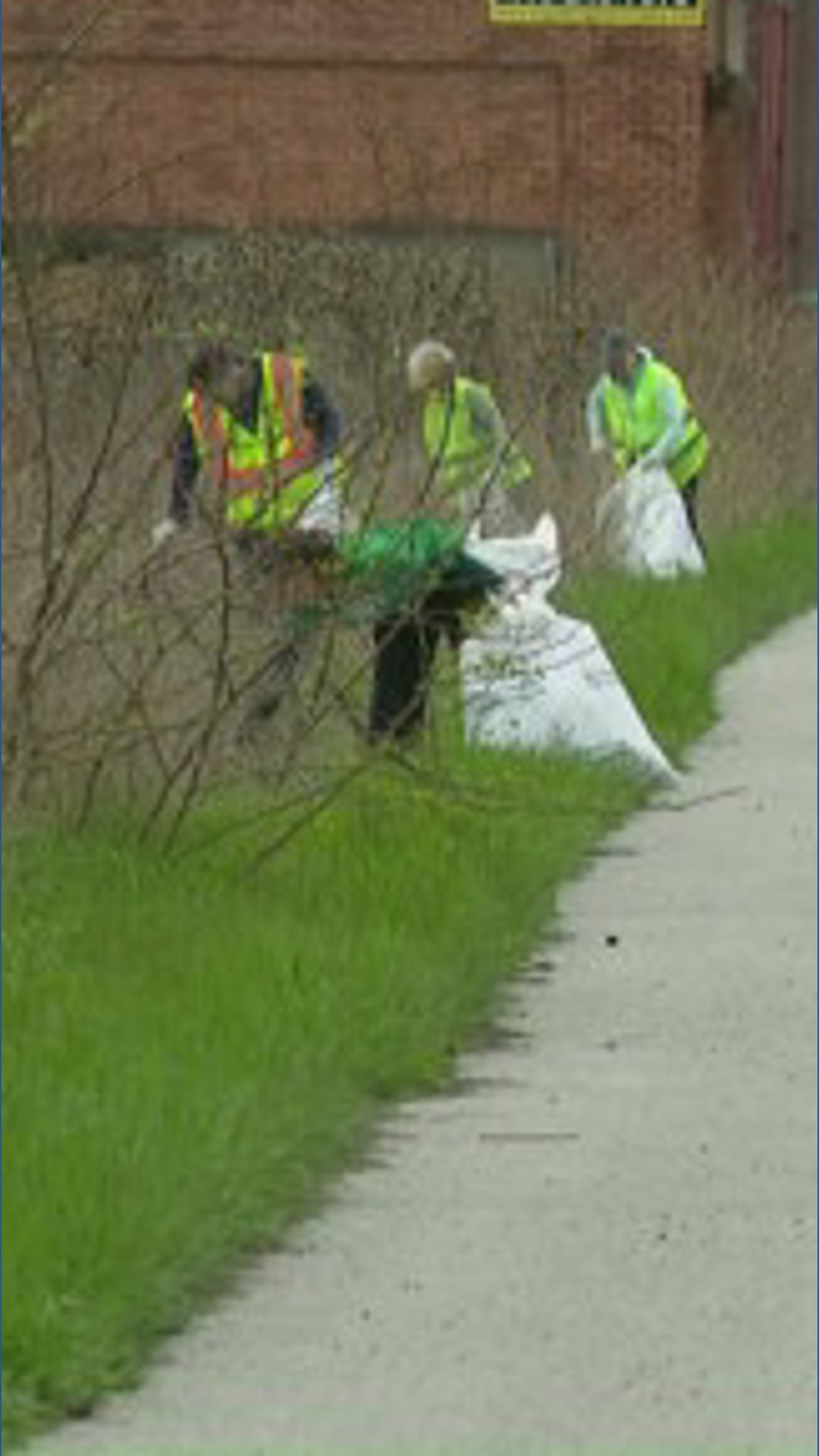 Cleanup crew tackles litter in north Toledo | wtol.com
