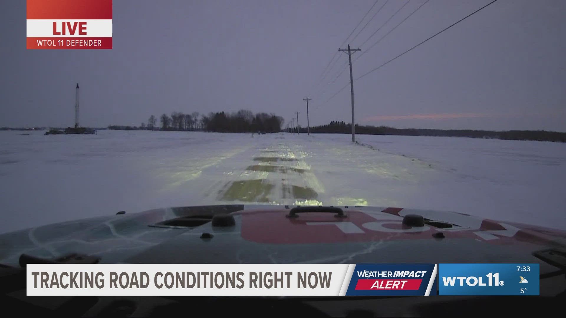 Planned Pethood, Hollywood Casino Toledo to host Puppy Bowl adoption ...