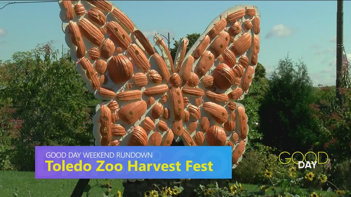 Need weekend plans? Fall events, activities are plentiful | Good Day ...