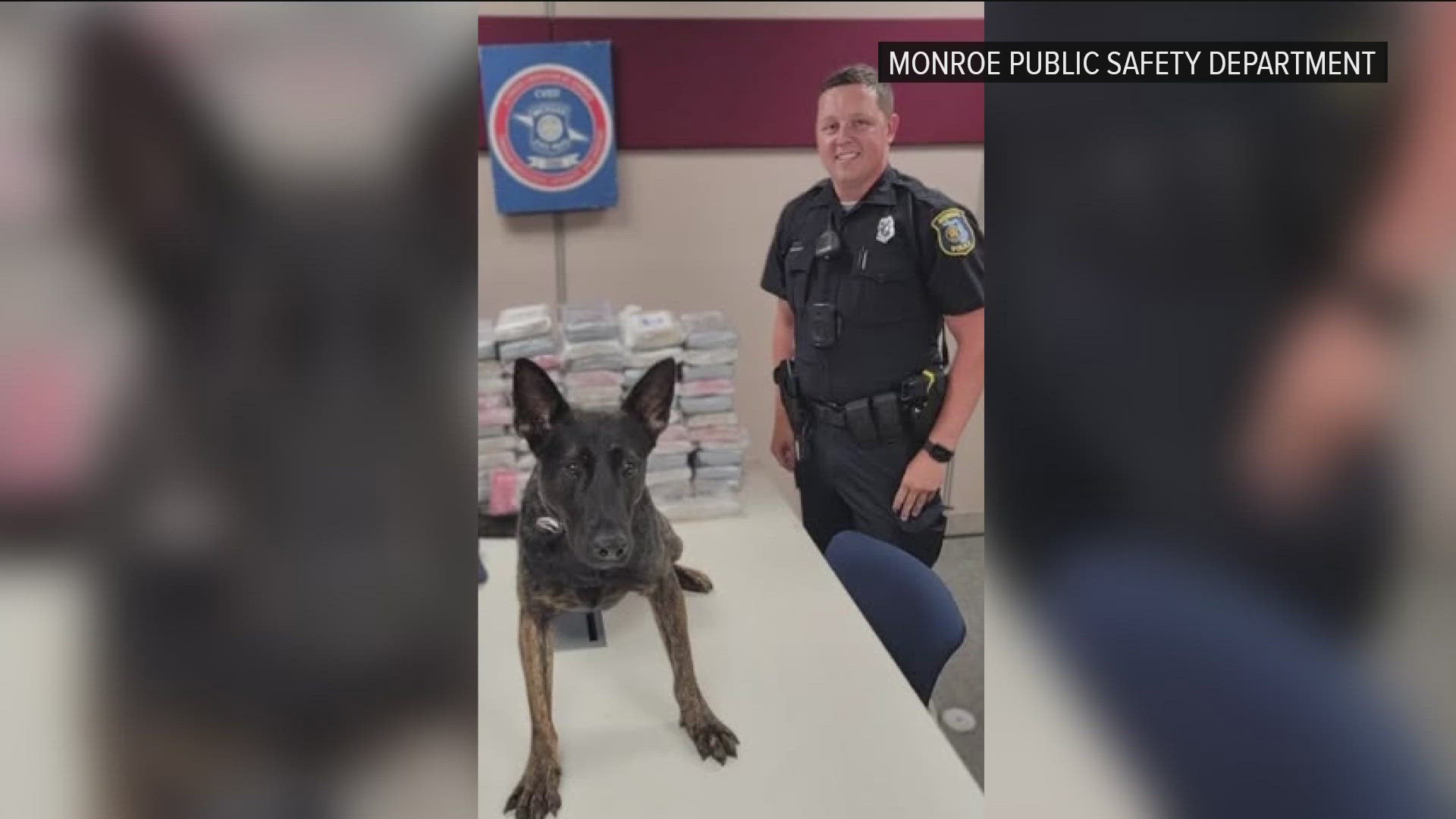 Monroe County K9 helps police find 71 kilos of cocaine in I-75 traffic ...