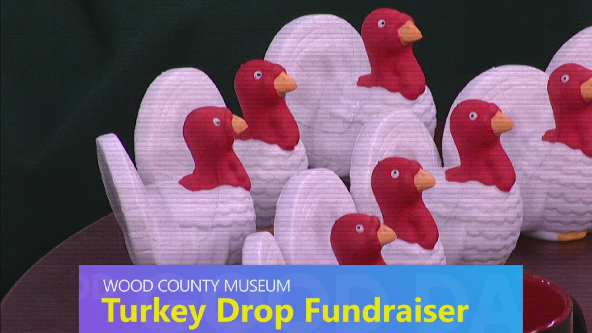 Foam turkeys will take flight for Wood County Museum fundraiser | wtol.com