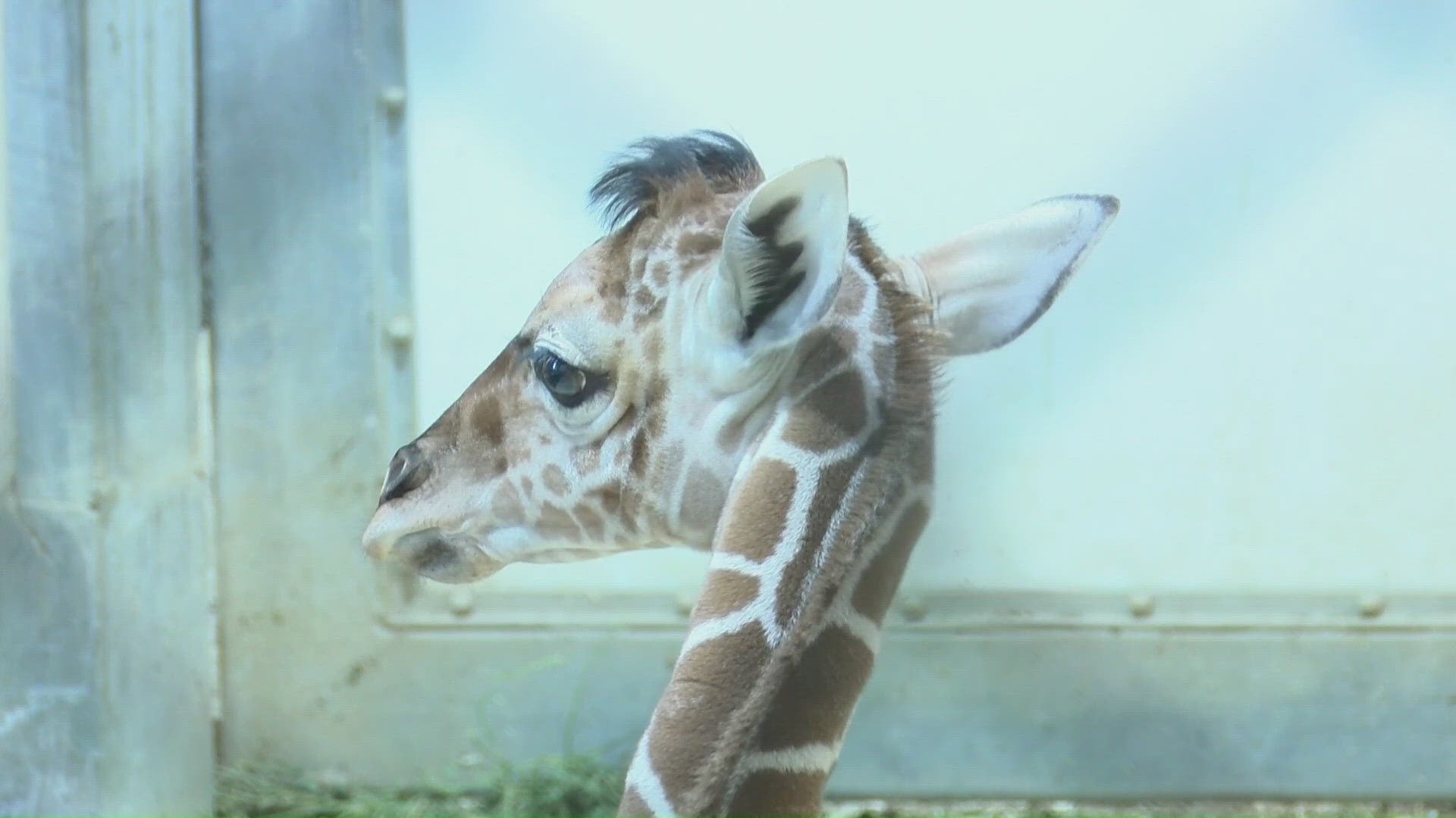 Owens sees increase enrollment for sixth consecutive semester | wtol.com