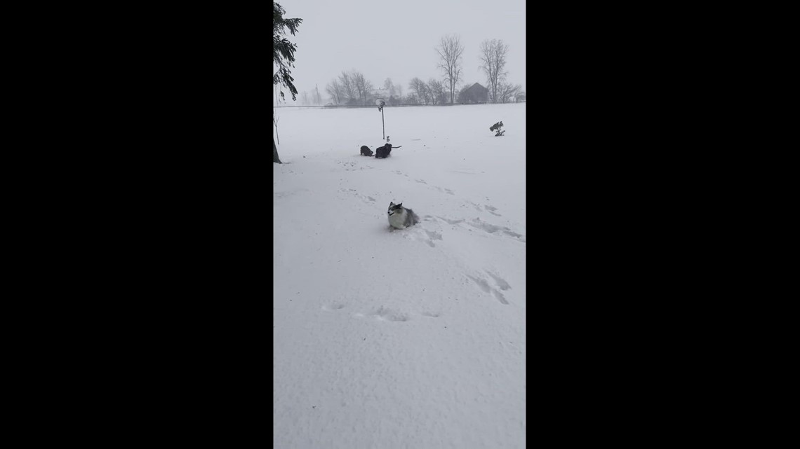 Yay! Snow day!! | wtol.com