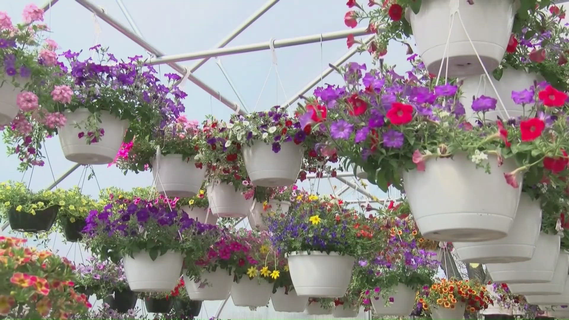 First day of spring: Rising costs, uncertain weather challenge local ...
