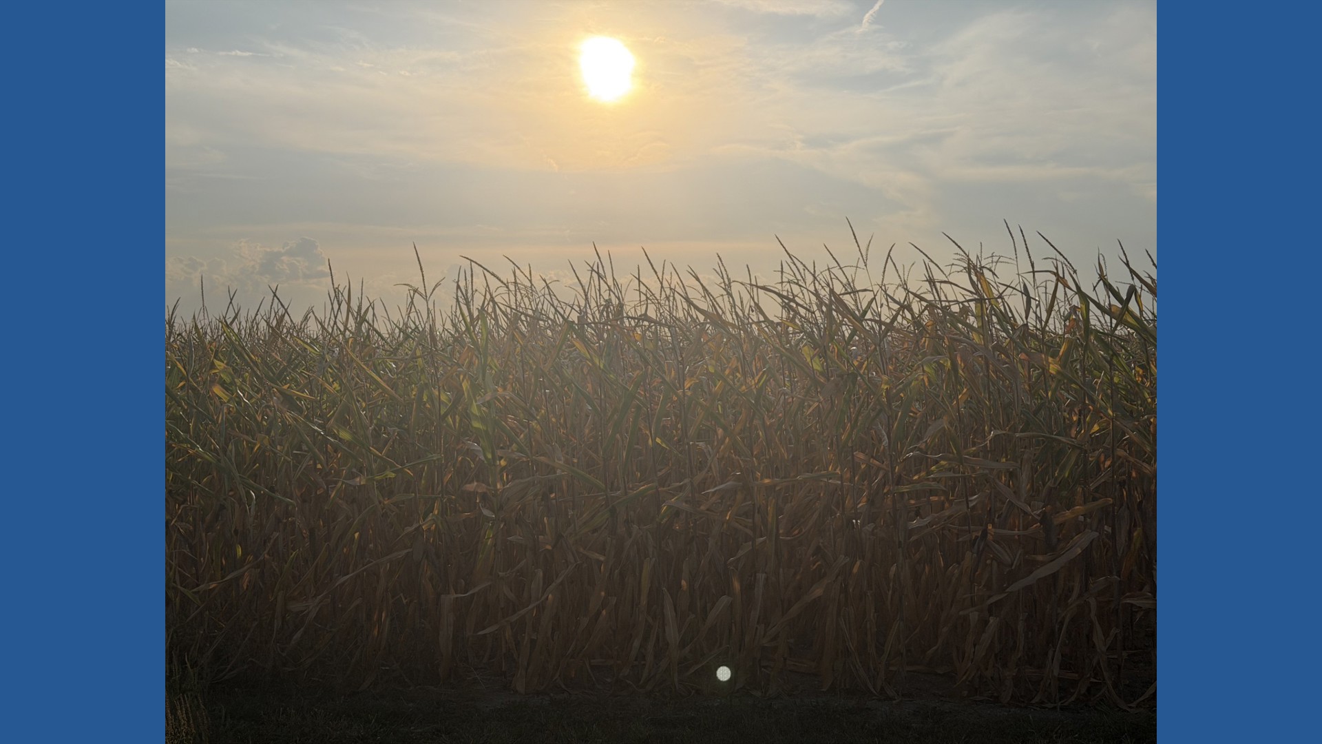What is meteorological fall? | wtol.com