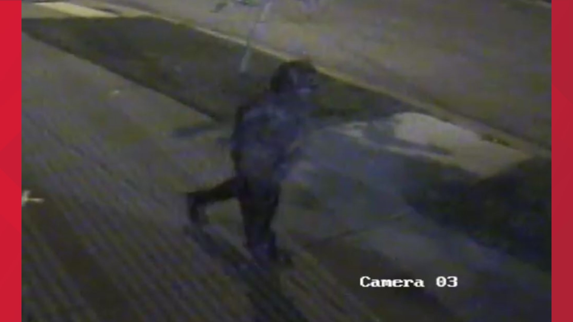 Adrian police investigating arson, suspect not yet identified | wtol.com