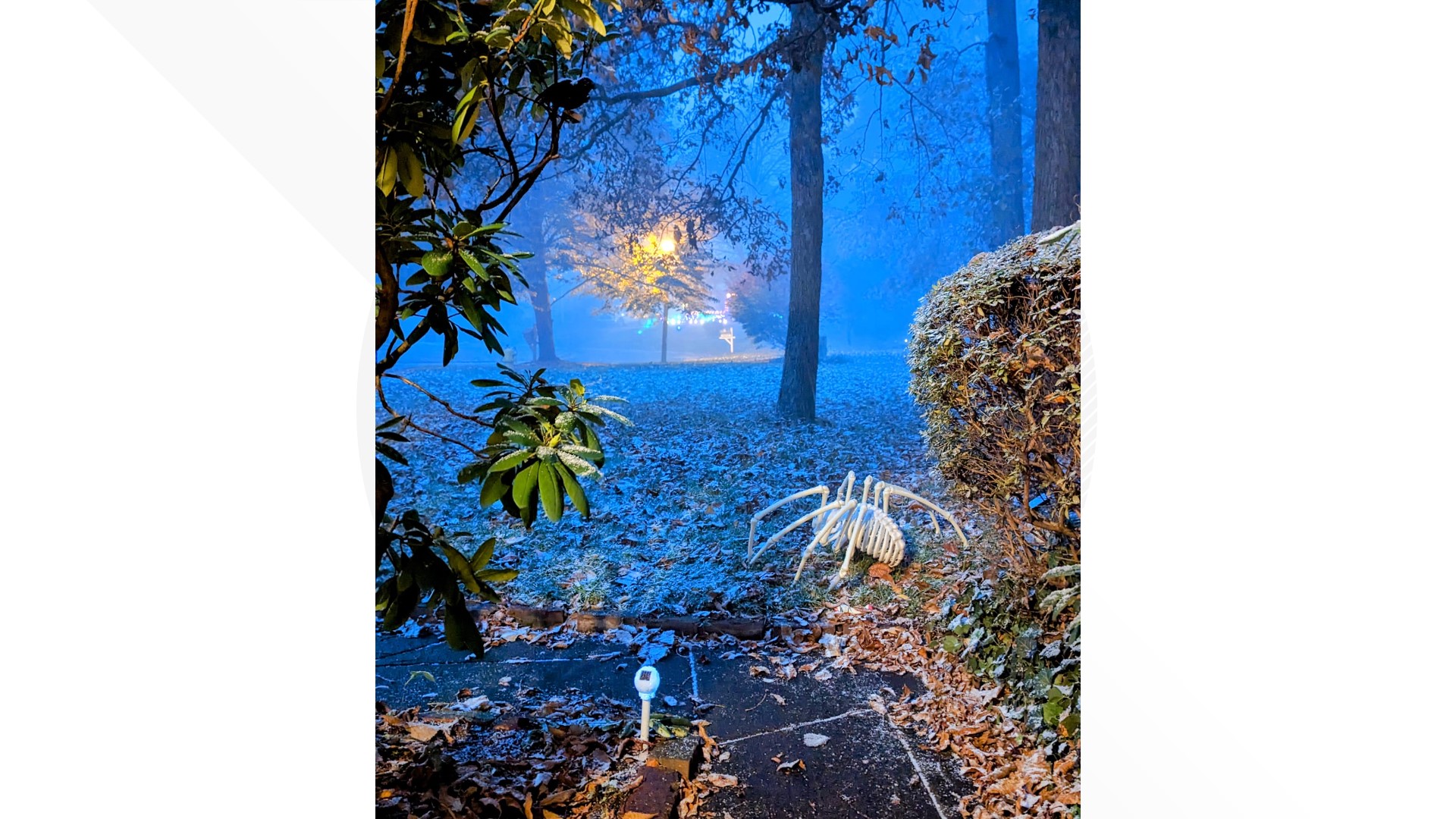 Halloween snowfall hits northwest Ohio | Photos | wtol.com