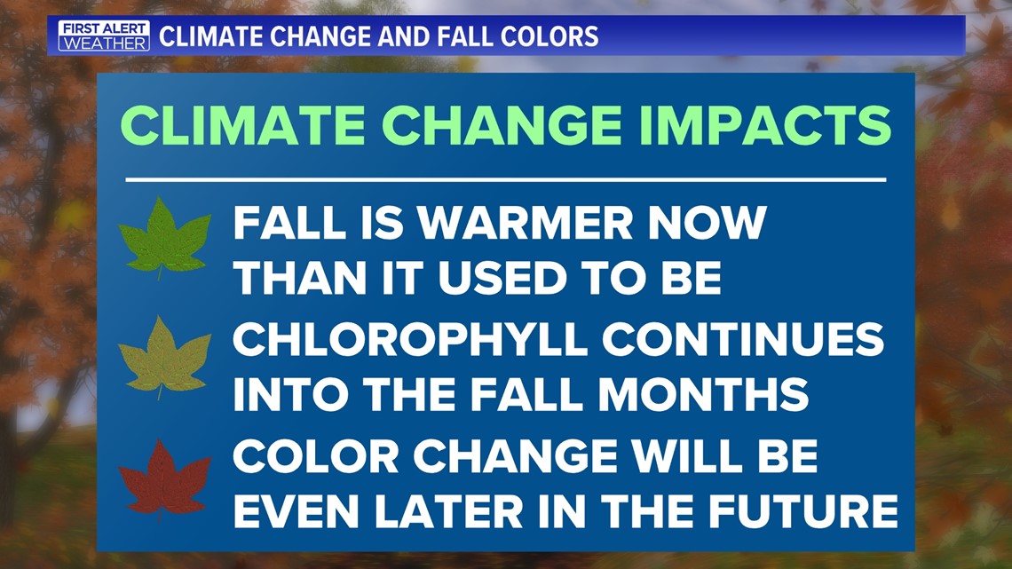 How does global climate change affect fall leaves and colors? | wtol.com
