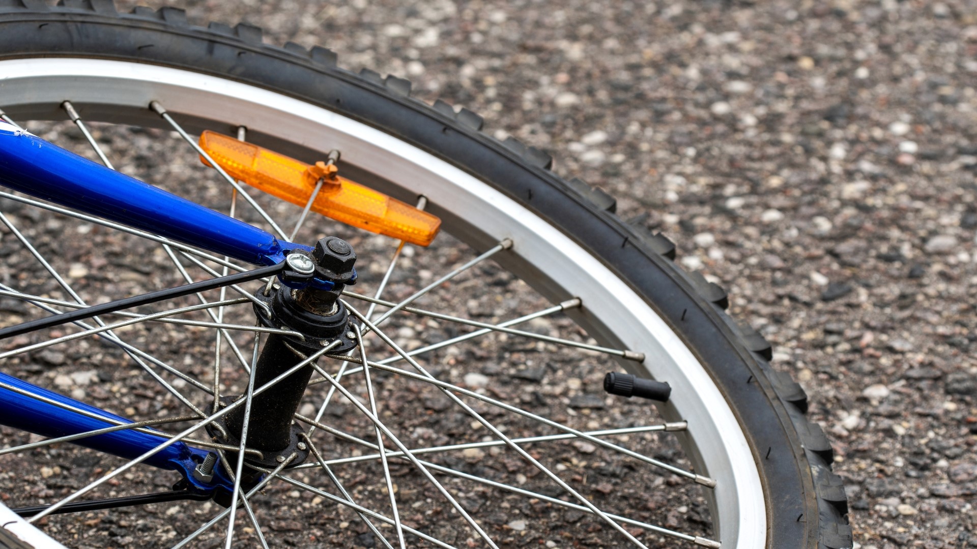 12-year-old hit, killed while riding bike in Paulding County | wtol.com