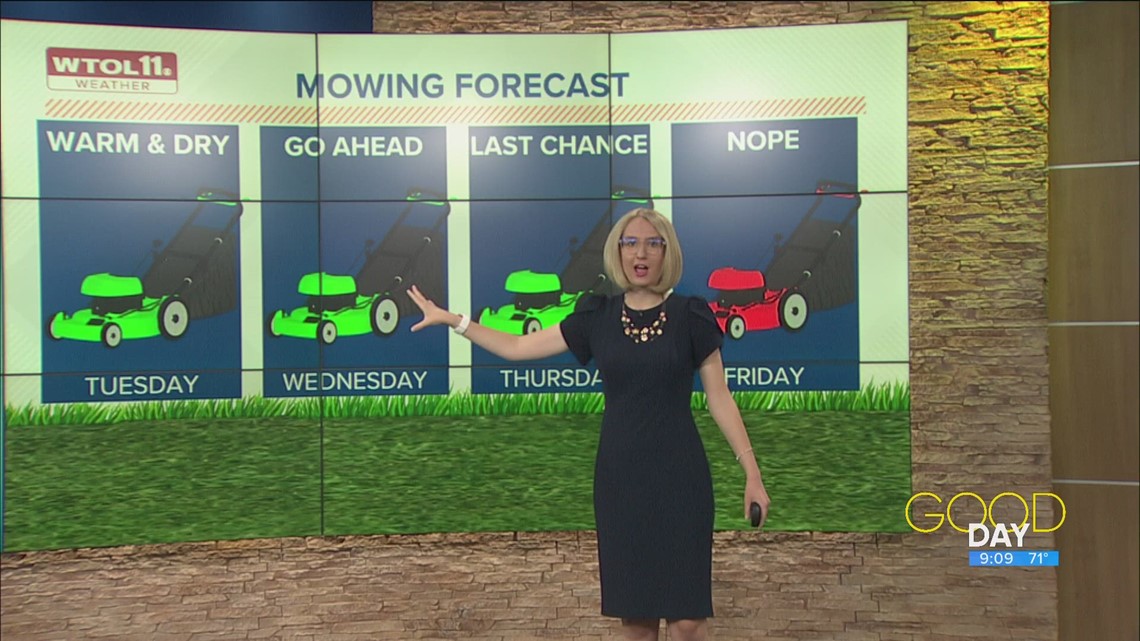 Dry, sunny conditions ahead of first day of summer; rain chances return ...