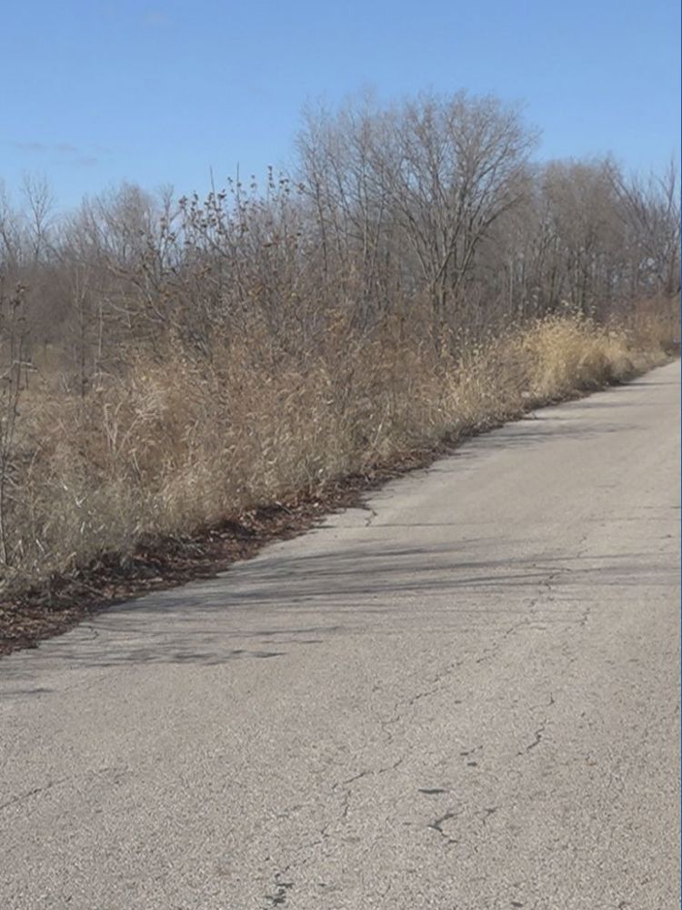 Decision on south Toledo solar field proposal put on hold for a month ...