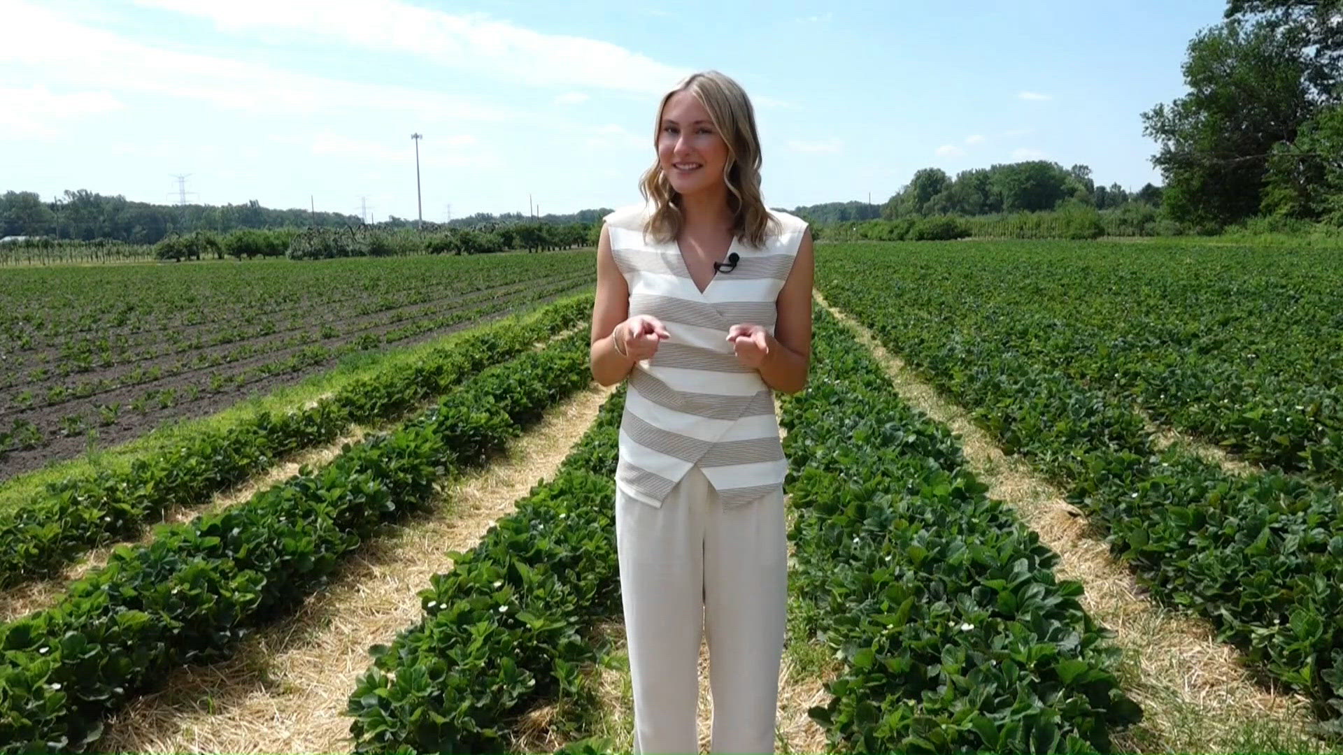 Johnston Fruit Farm prepares for a promising strawberry season | wtol.com