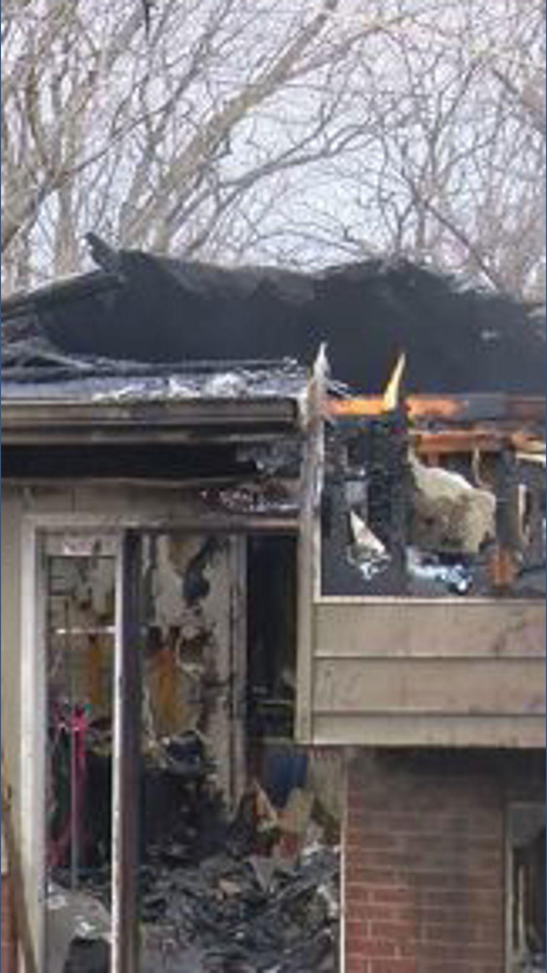 'I’m very brokenhearted for their family members': Neighbors react to ...