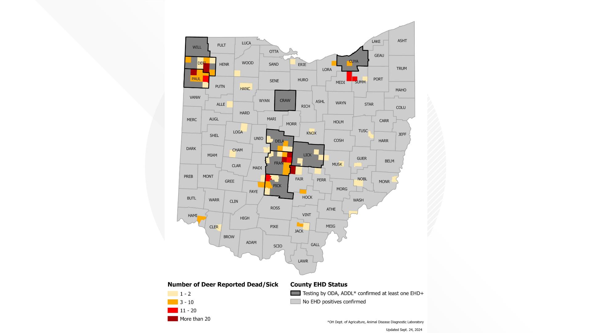 How to report sick deer to Ohio DNR | wtol.com