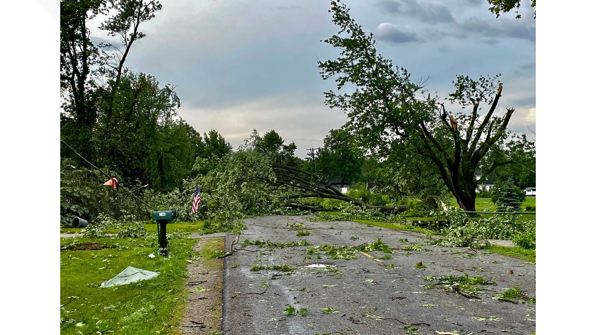 storm damage in Michigan | wtol.com