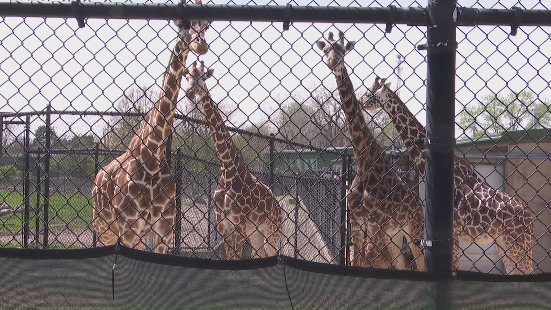 Civil rights groups condemn Southern Poverty Law Center's indictment ...