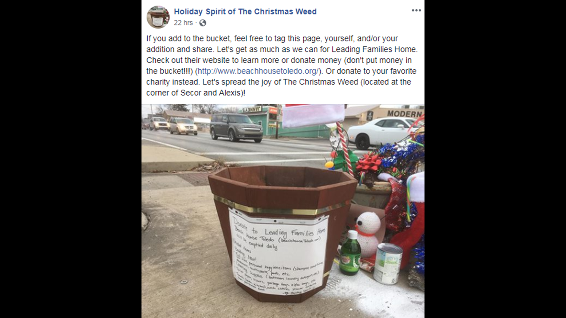 The Toledo Christmas Weed is a viral sensation sweeping the nation ...