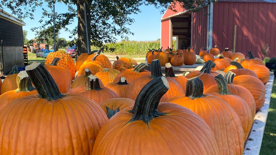 Fleitz Pumpkin Farm opens for the season next week, offering some fall ...