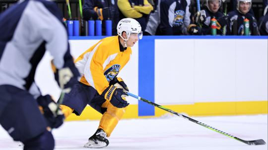 What to know for Toledo Walleye opening weekend 2024 | wtol.com