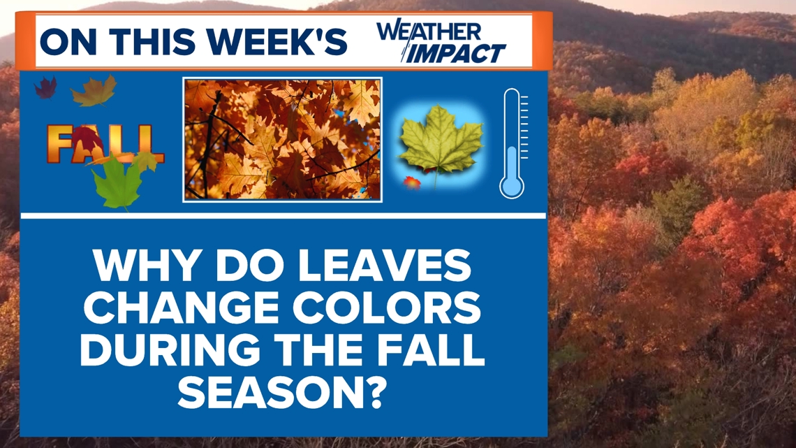 Why do leaves change colors during the fall season? | wtol.com