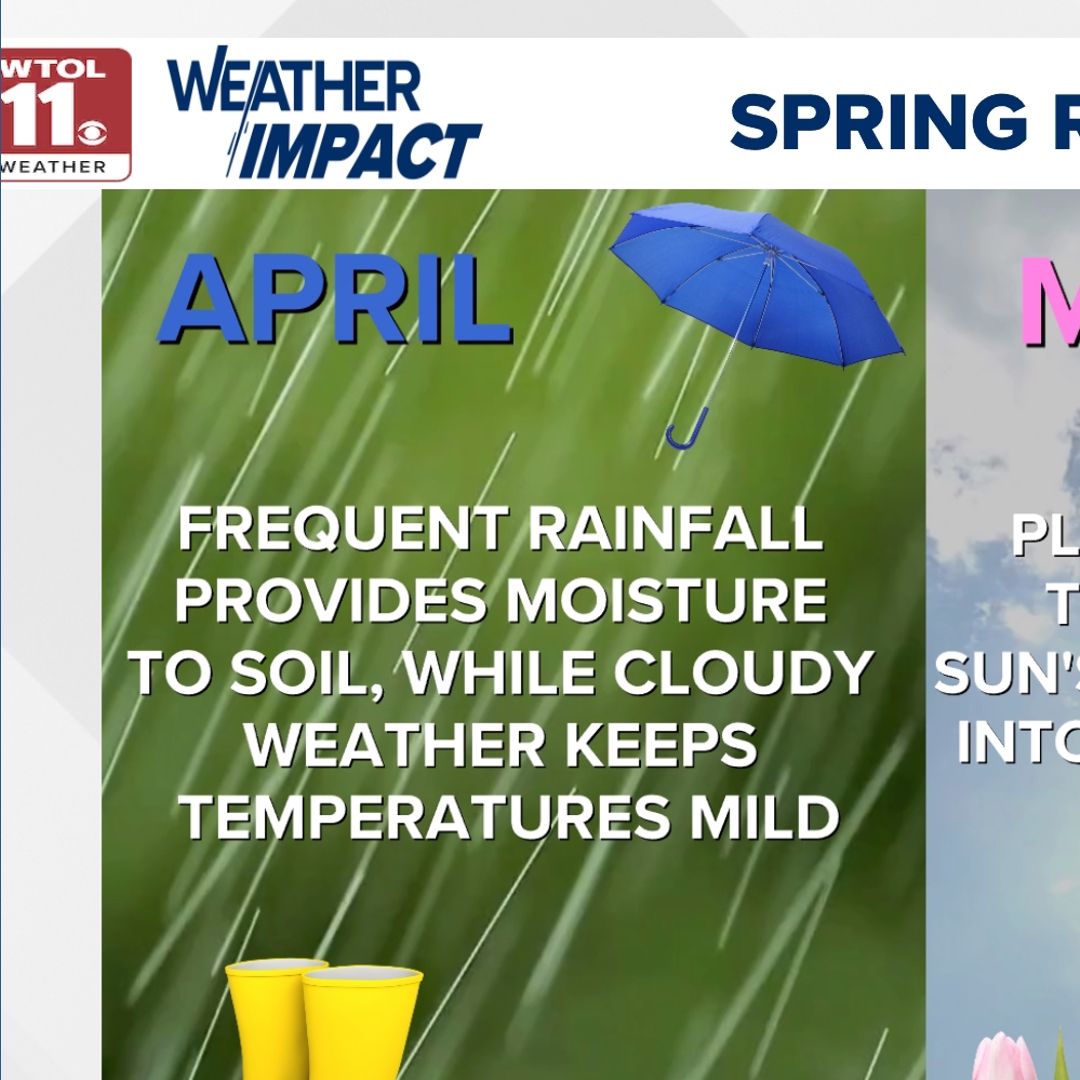 Do April showers really bring May flowers? The scientific answer | wtol.com