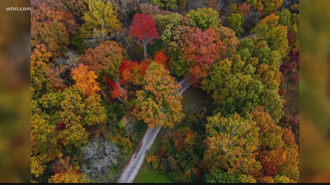 Toledo Metroparks share vibrant views of fall's splendor | wtol.com