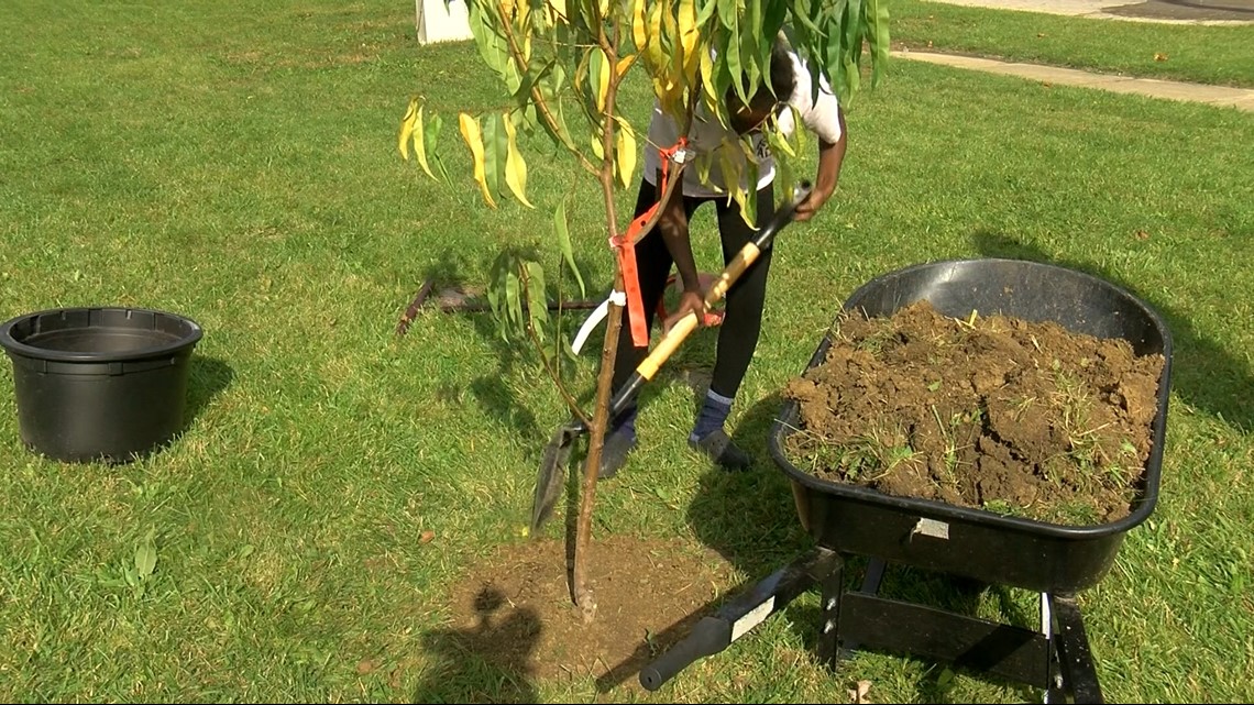 Caylee Kirby - Journalist Profile - Intelligent Relations